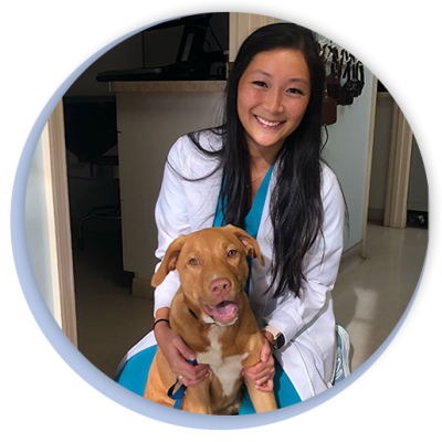 Team - Vet in Lake City | Vet in Live Oak | Caring Hands Animal Hospital