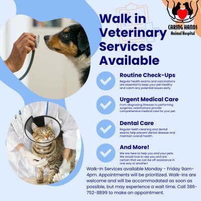 Team - Vet in Lake City | Vet in Live Oak | Caring Hands Animal Hospital